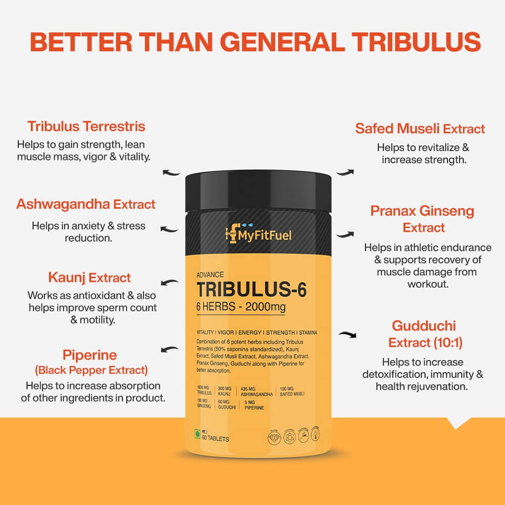 Buy Premium Tribulus-6 containing Tribulus, Ginseng, Kaunj, Safed Musli ...