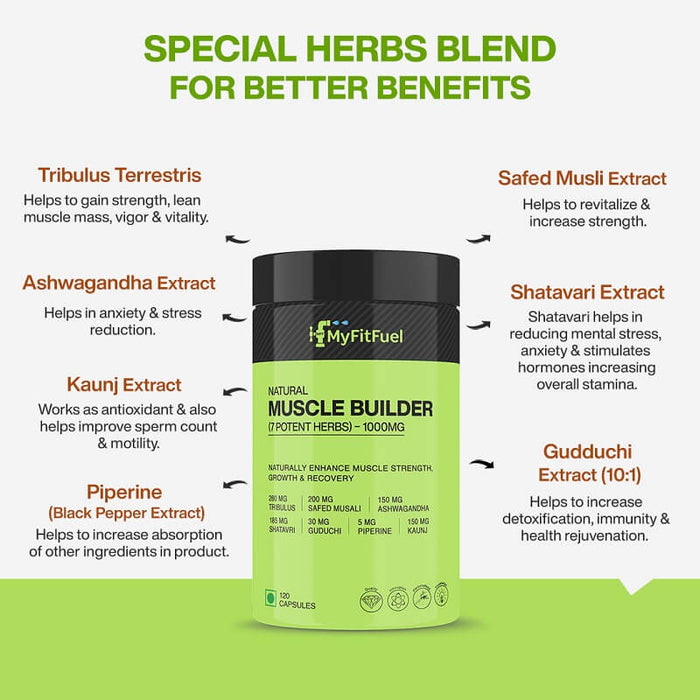Muscle Herbs – MyFitFuel